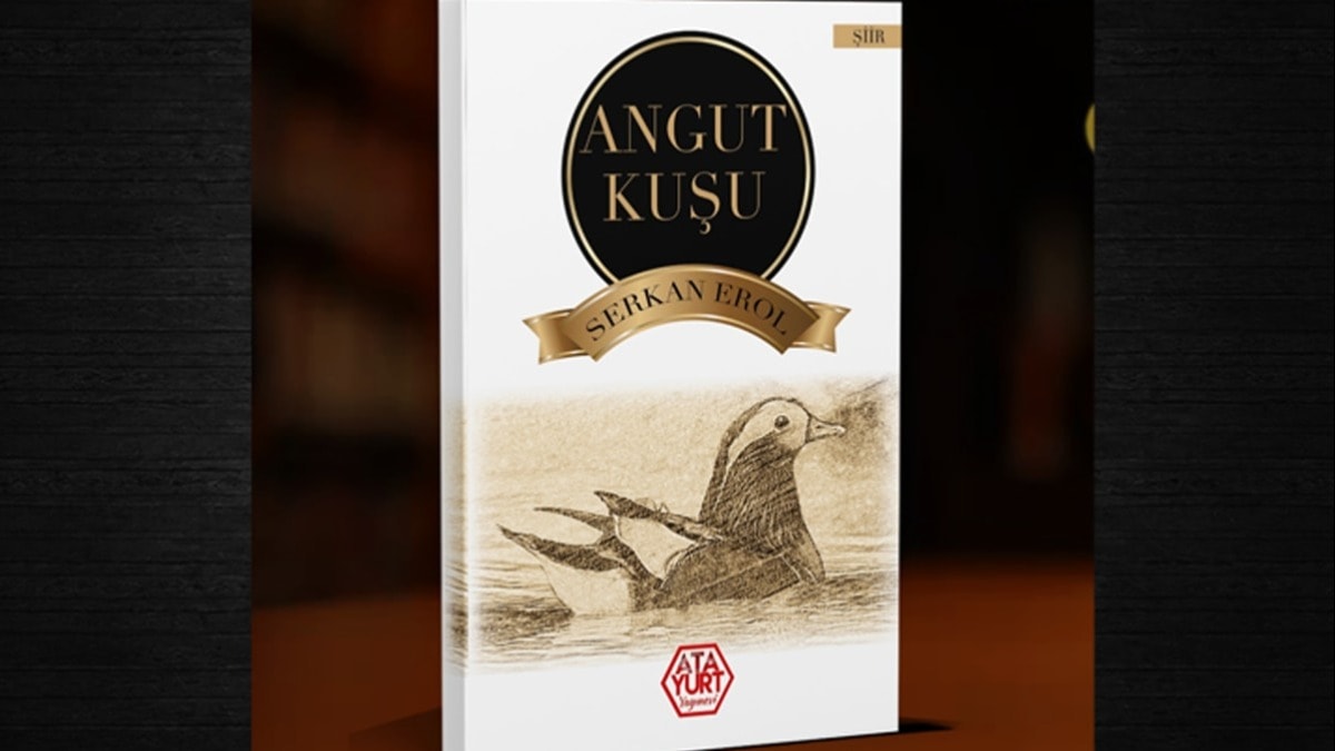 Angut Kuşu kanat çırpıyor - Sözcü