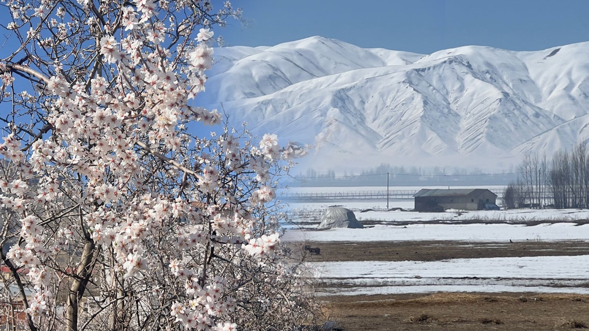 Aynı şehirde iki mevsim: Kar ve bahar yan yana - Sözcü